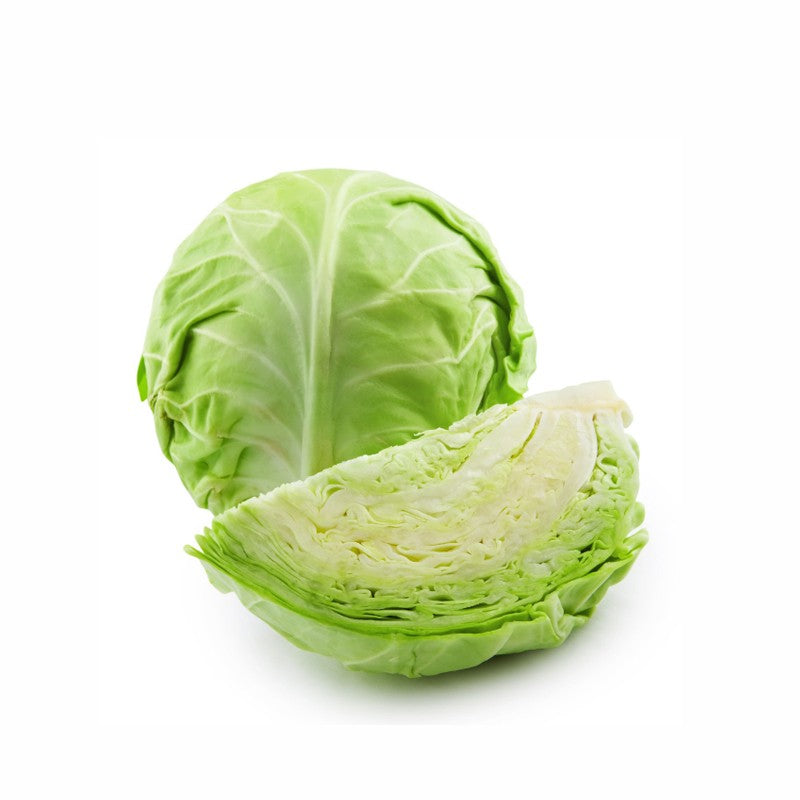 Fresh - Cabbage - green